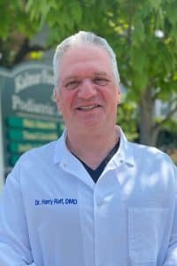 Harry Raff, DMD | Kalmar Family Dentistry in Huntington, NY